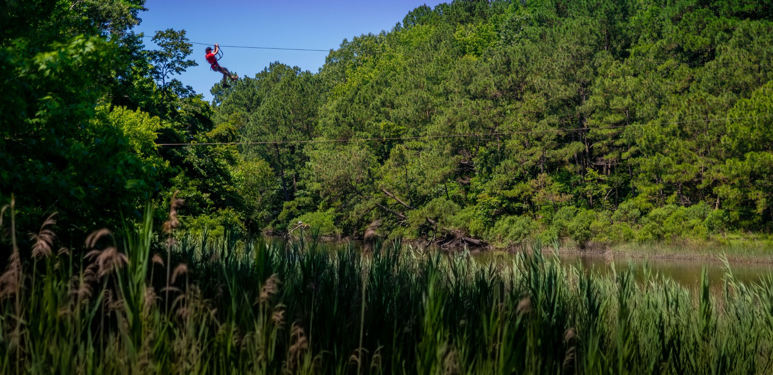 The Adventure Park at Virginia Aquarium: Zipline & Ropes Course