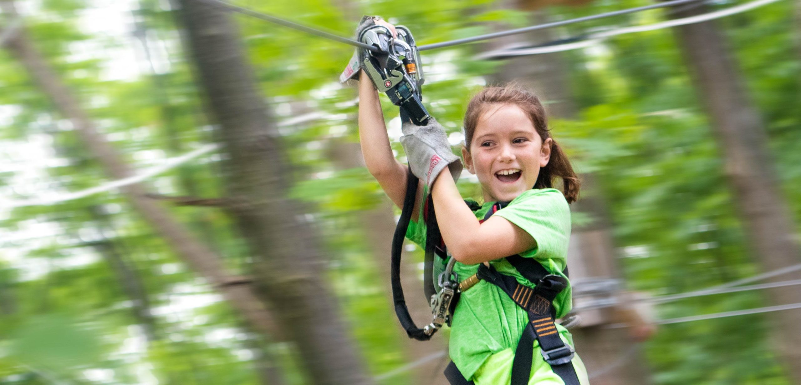 About Our Aerial Adventure Park - The Adventure Park