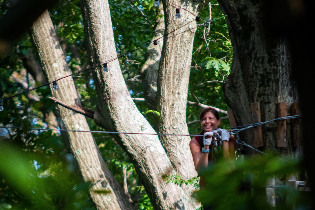 Taking Care of our Trees - The Adventure Park