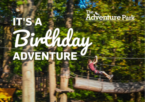 Birthday Party Invitations for Your Adventure Park Event - The ...