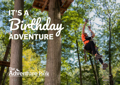 Birthday Party Invitations for Your Adventure Park Event - The ...